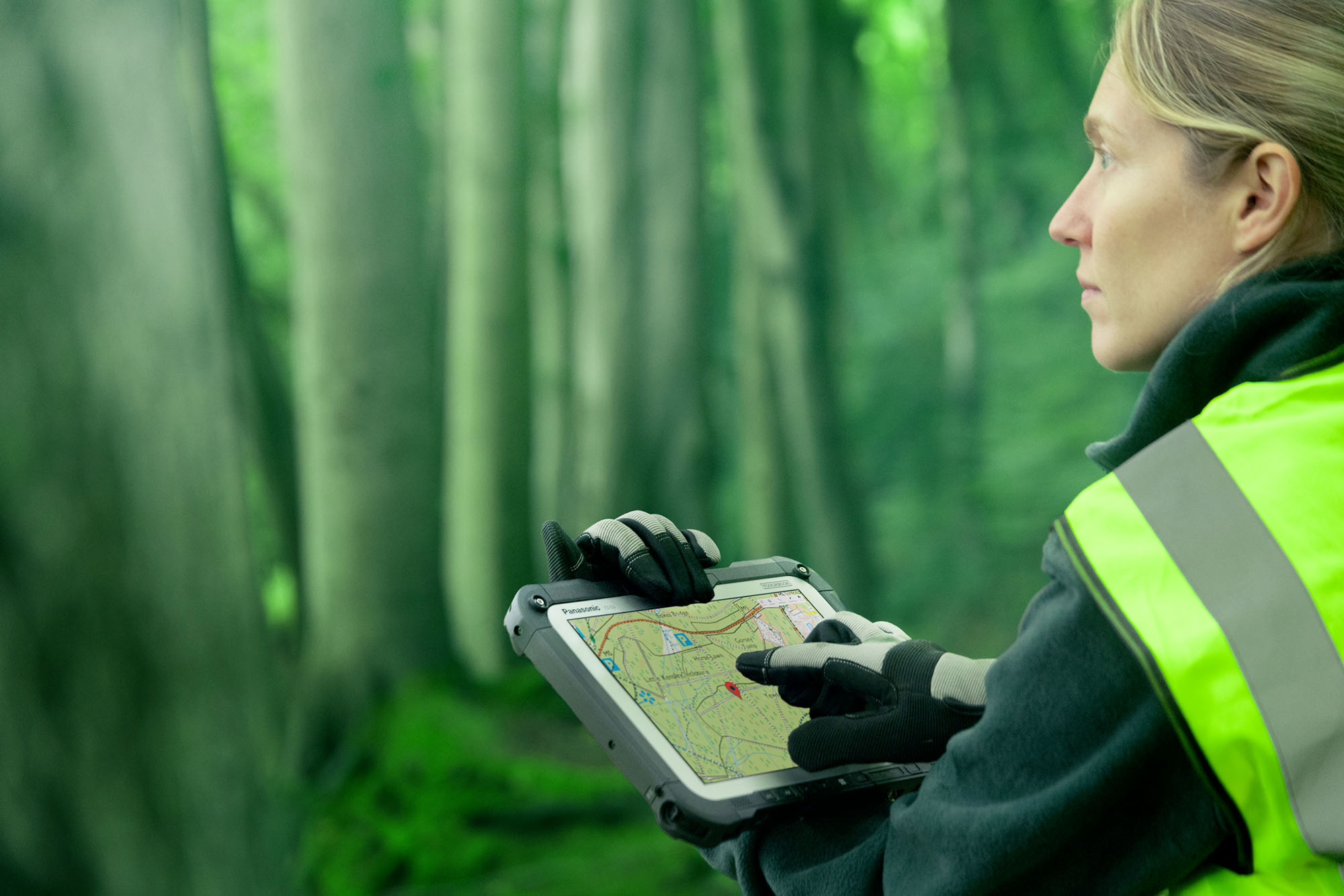 Signal Partners - Forest Industry